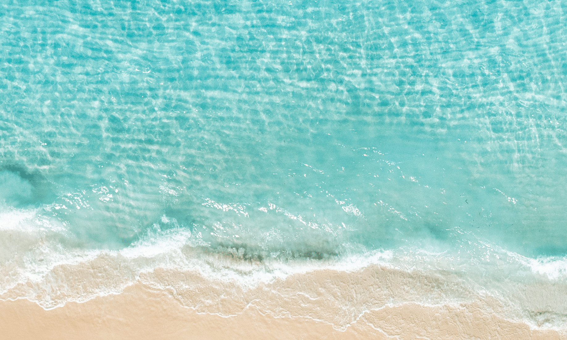 TNFD releases fourth and final beta framework