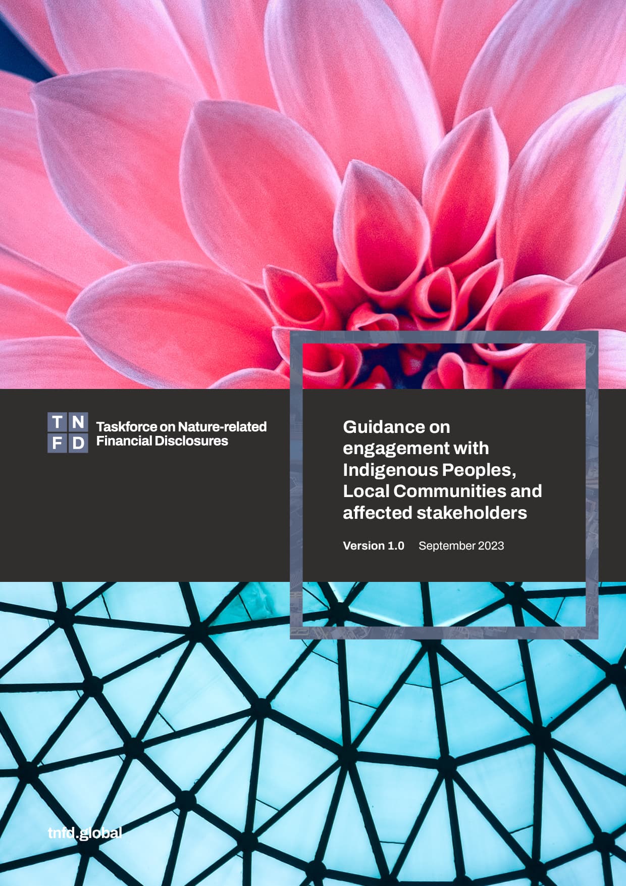 Guidance on engagement with Indigenous Peoples, Local Communities and ...