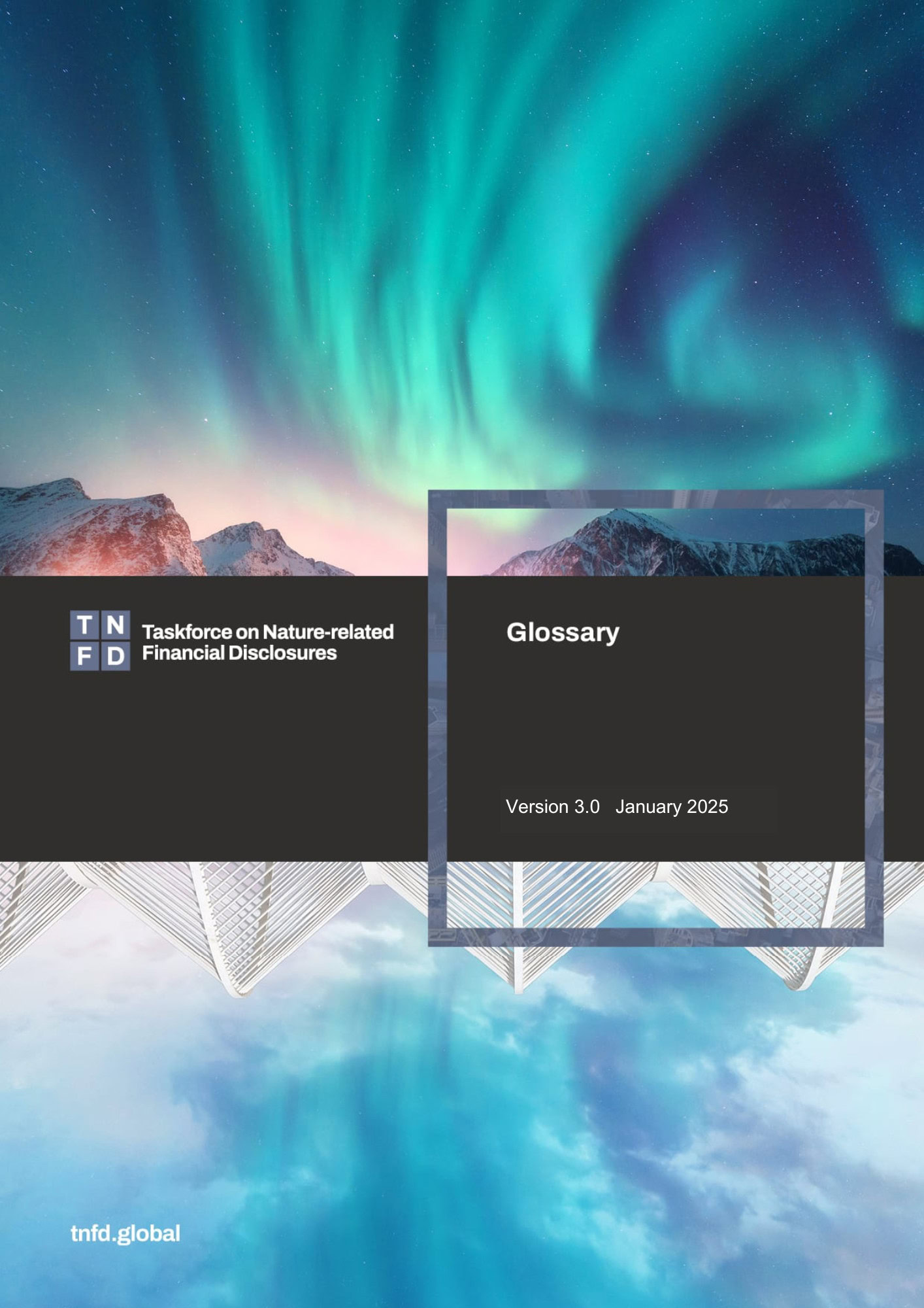 Getting started with adoption of the TNFD Recommendations – TNFD