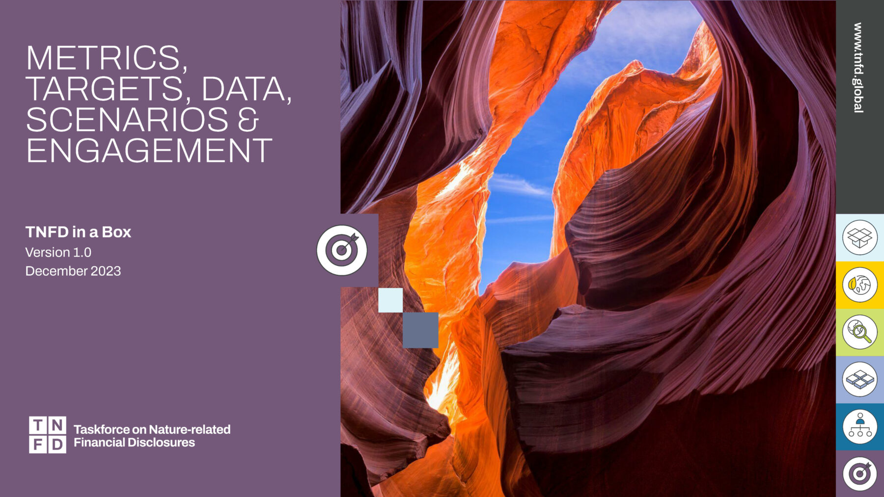 TNFD in a box – TNFD