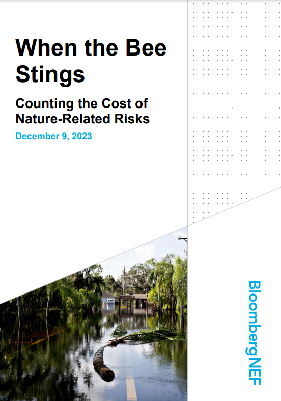 When the bee stings: counting the cost of nature-related risks – TNFD