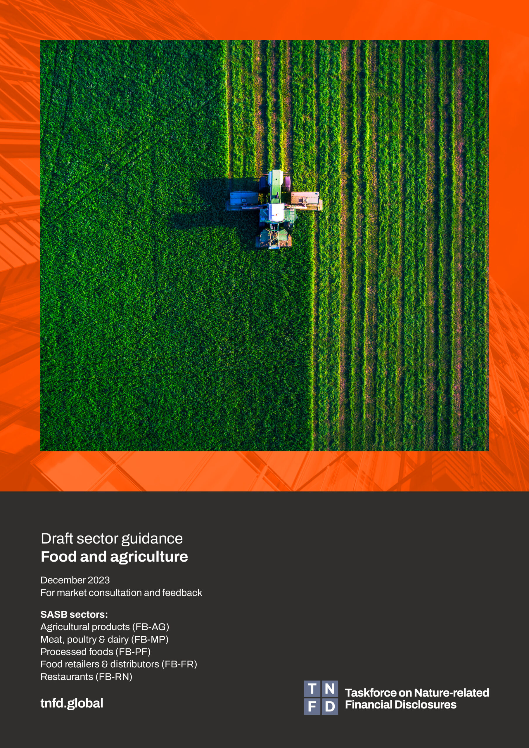 Insights on TNFD Sector Guidance – TNFD