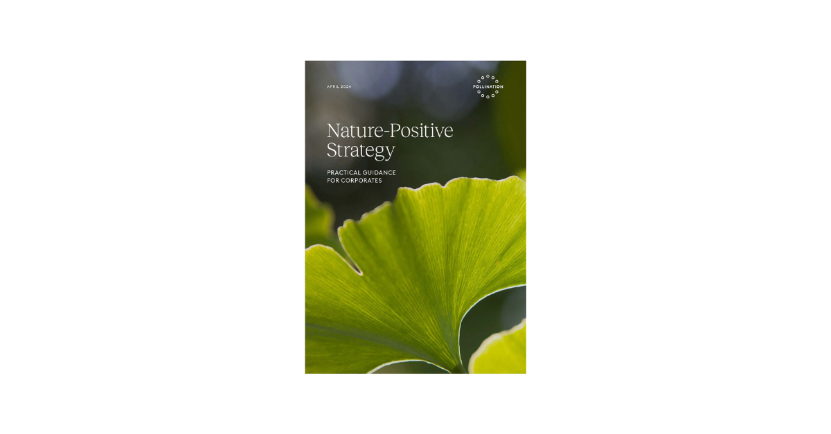 Nature Positive Strategy: Practical Guidance for Corporates – TNFD