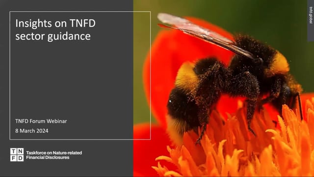 Taskforce on Nature-related Financial Disclosures (TNFD ...