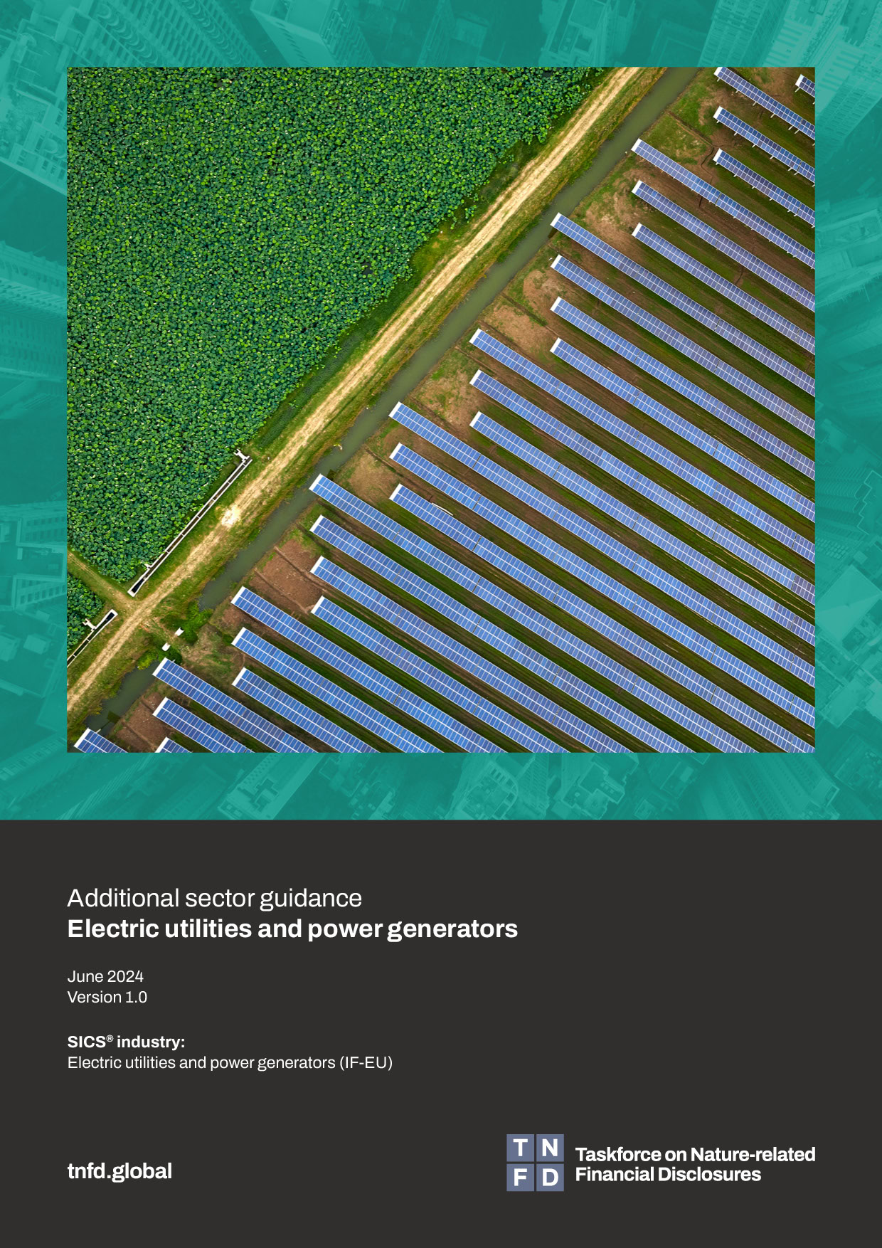 Additional sector guidance - Electric utilities and power generators – TNFD