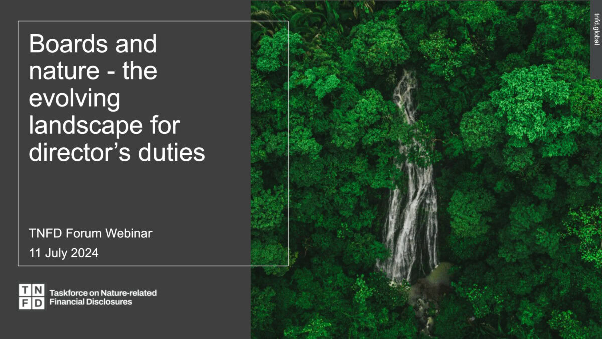 Roadmaps to Nature Positive – TNFD