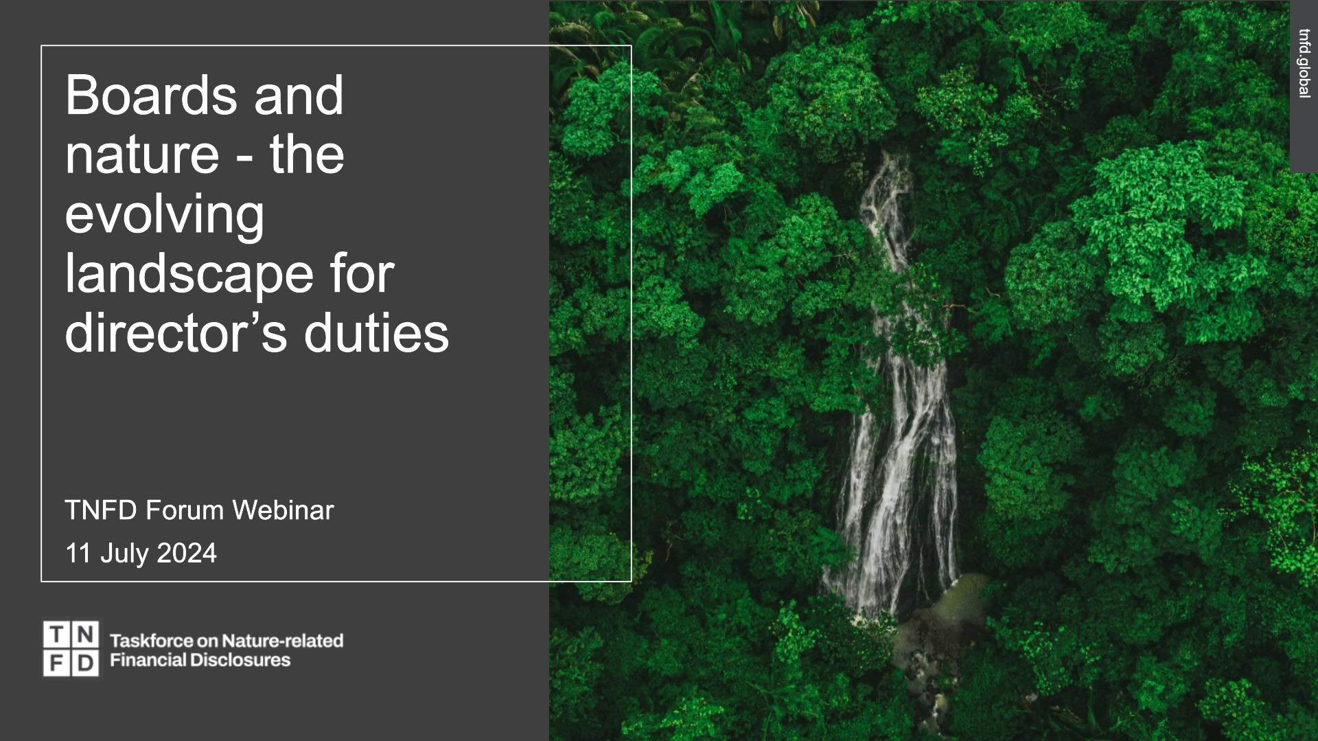 Asking Better Questions on Nature - For board directors – TNFD