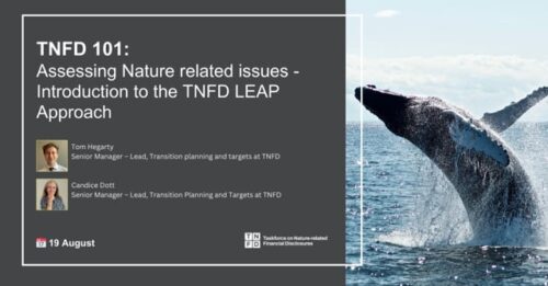 Introducing the TNFD LEAP approach to assessment – TNFD