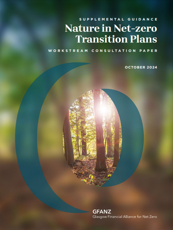 Nature in Net-zero Transition Plans - Workstream consultation paper – TNFD