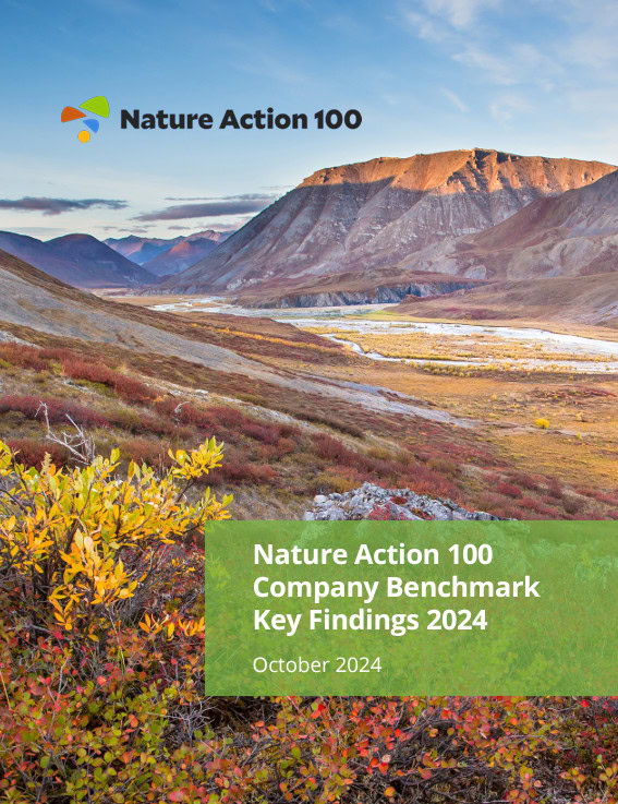 Nature Action 100 Company Benchmark – TNFD