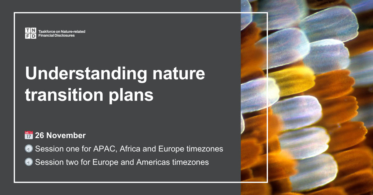 Understanding nature transition plans – TNFD