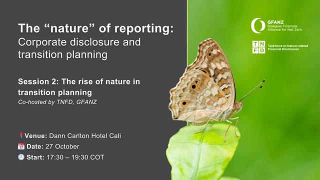 What Are Nature Strategies and Nature Transition Plans? – TNFD