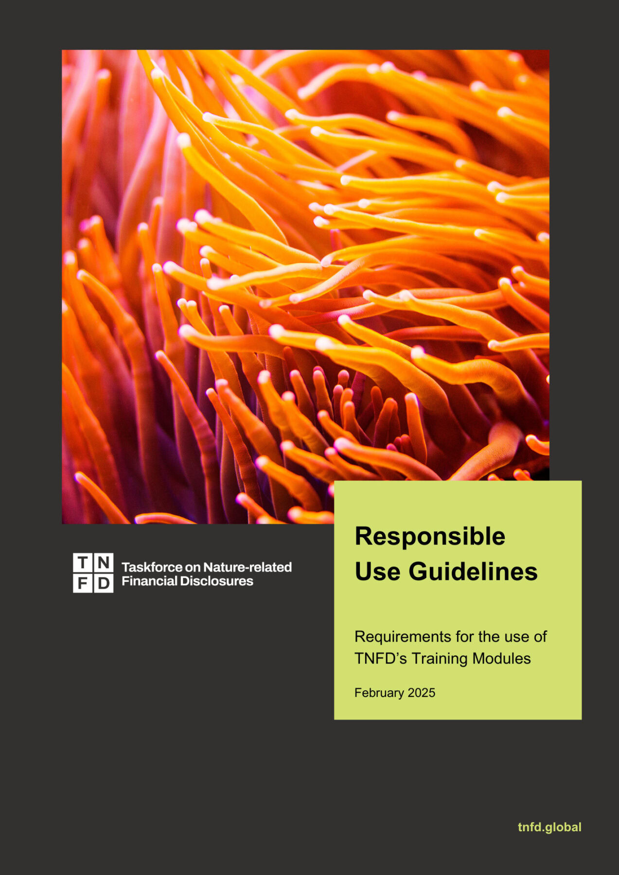 Responsible Use Guidelines – TNFD