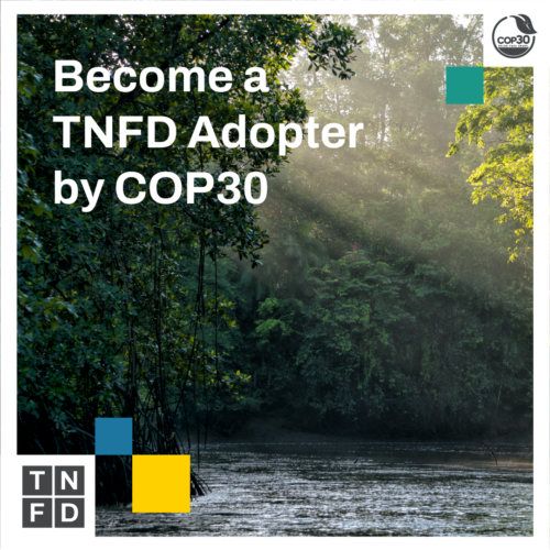 TNFD Adopters – TNFD