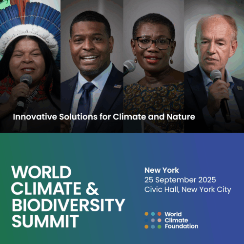 Knowledge Hub – TNFD