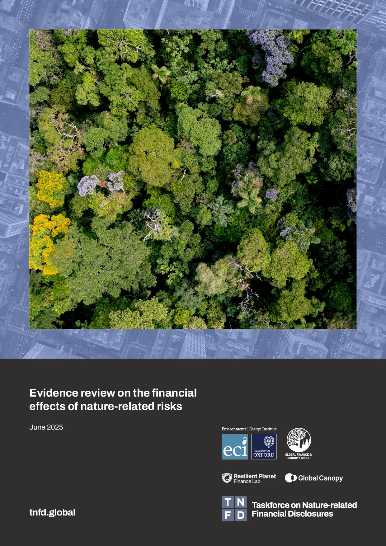 Evidence review on the financial effects of nature-related risks – TNFD