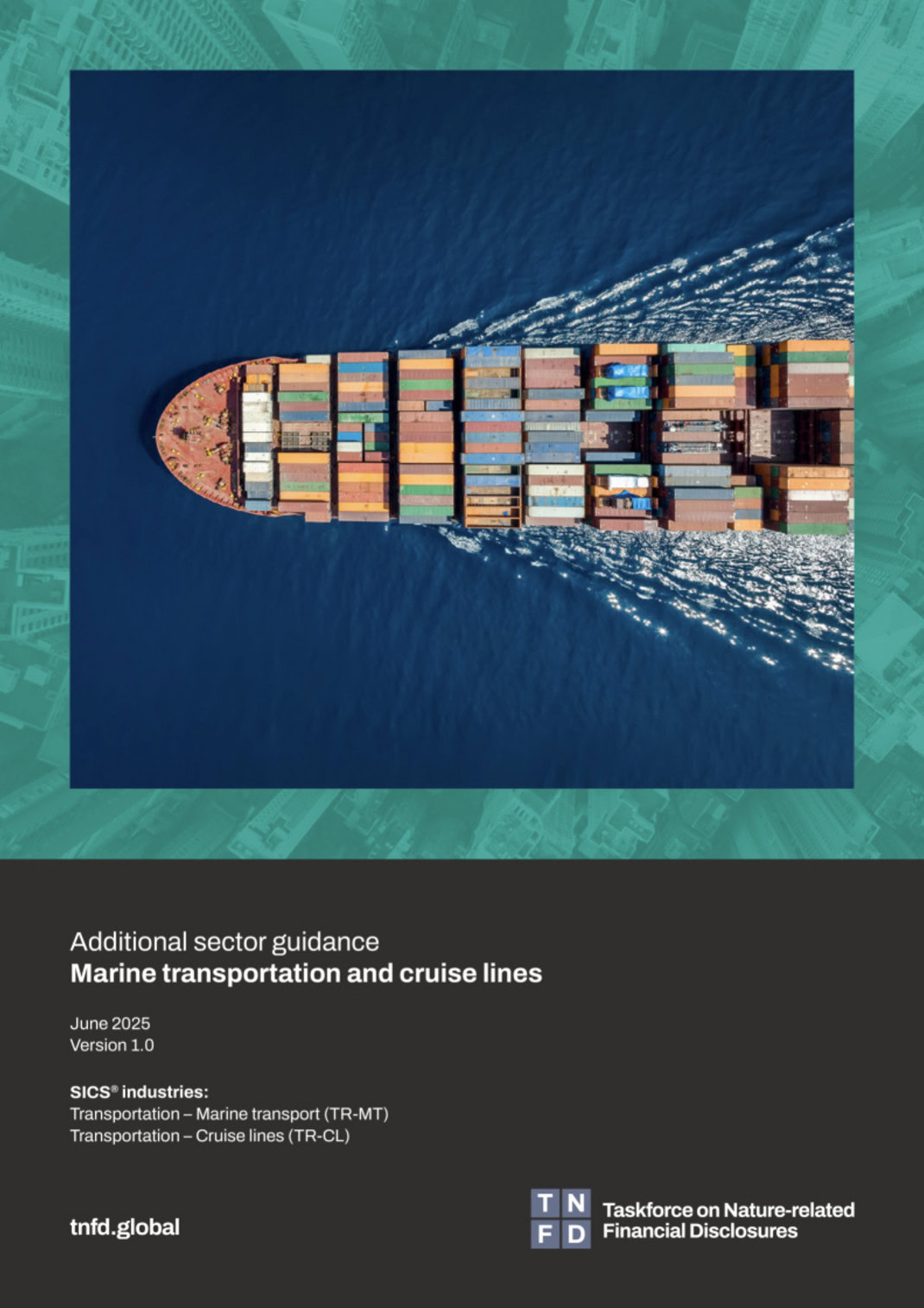 Additional sector guidance - Marine transportation and cruise lines – TNFD