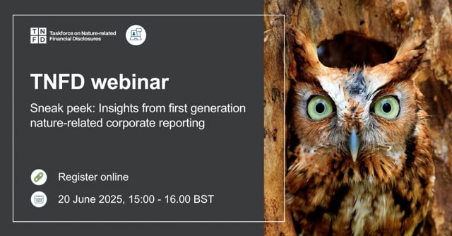 Sneak peek: Insights from first-generation nature-related corporate reporting – TNFD