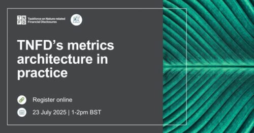 TNFD 2025 Status Report – TNFD