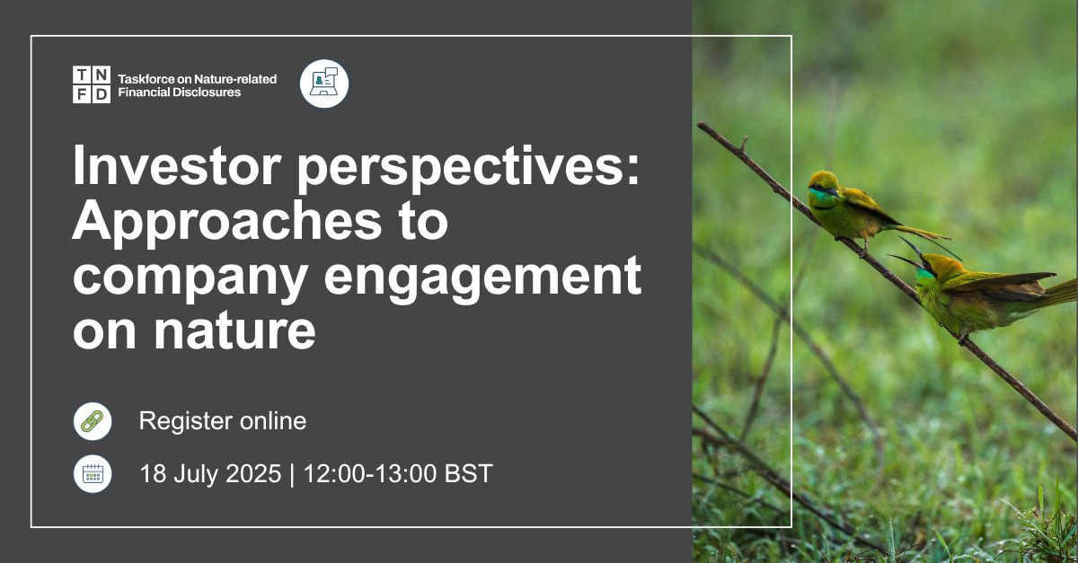 Investor perspectives: Approaches to company engagement on nature – TNFD