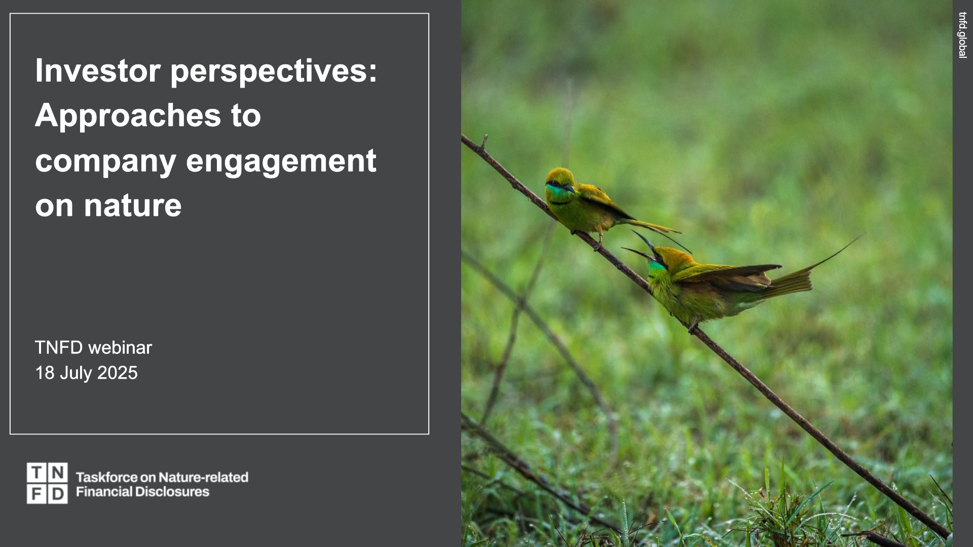 Investor perspectives: Approaches to company engagement on nature – TNFD
