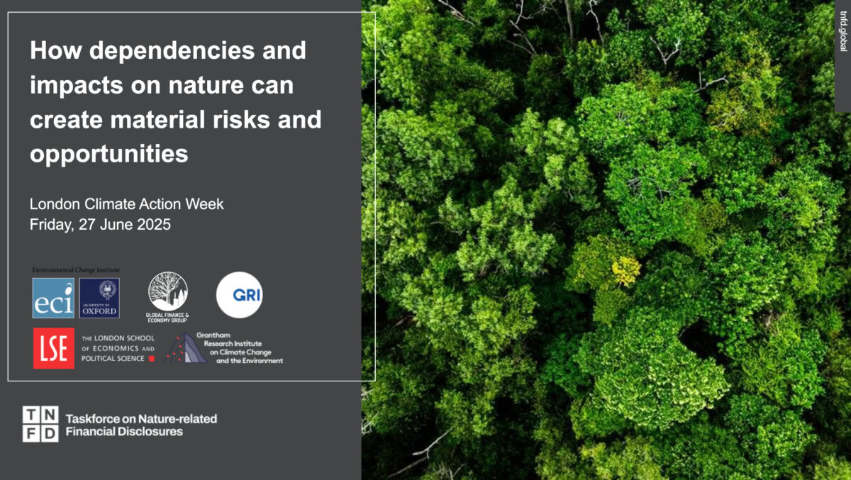 Evidence review on the financial effects of nature-related risks – TNFD