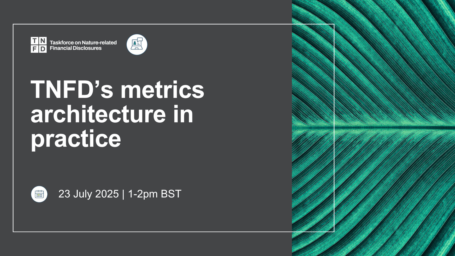 TNFD’s metrics architecture in practice: Examples from corporates – TNFD