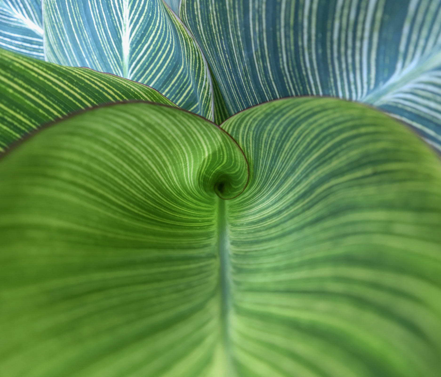 TNFD and UN SSE release model guidance for stock exchanges on nature ...