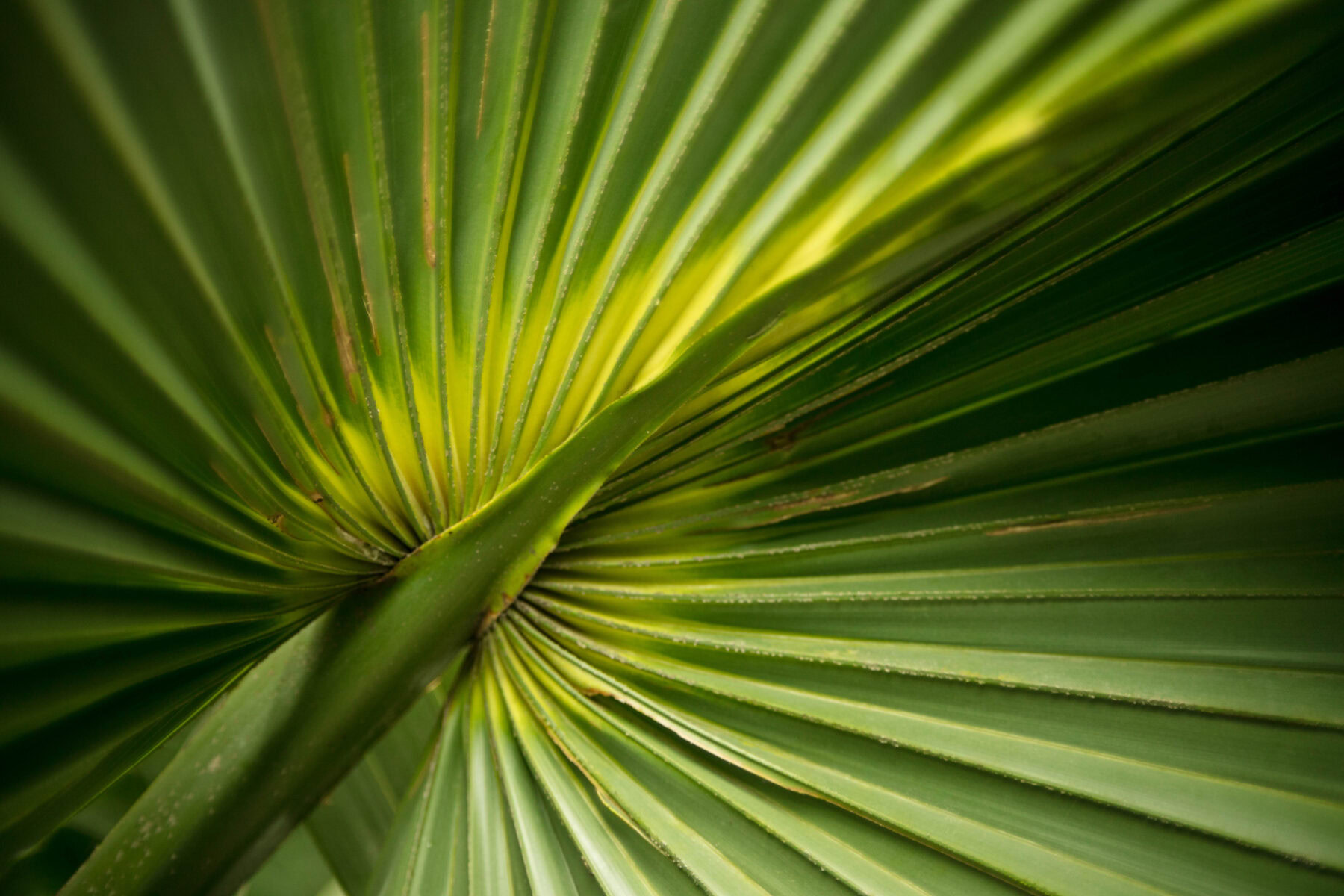 Omnibus review of CSRD: Technical input from the TNFD in response to ...