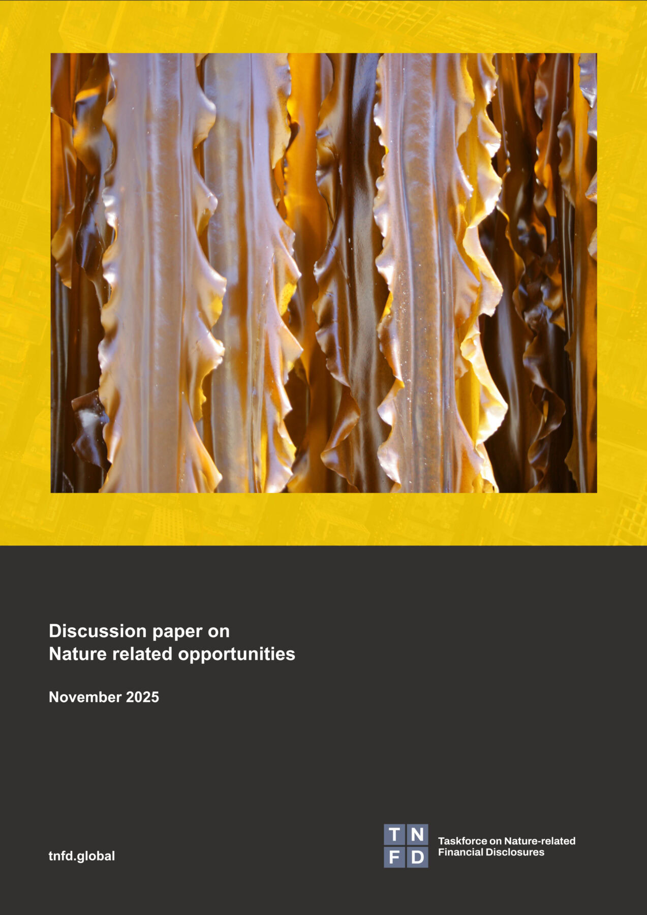 Embed Nature | A-Track – TNFD