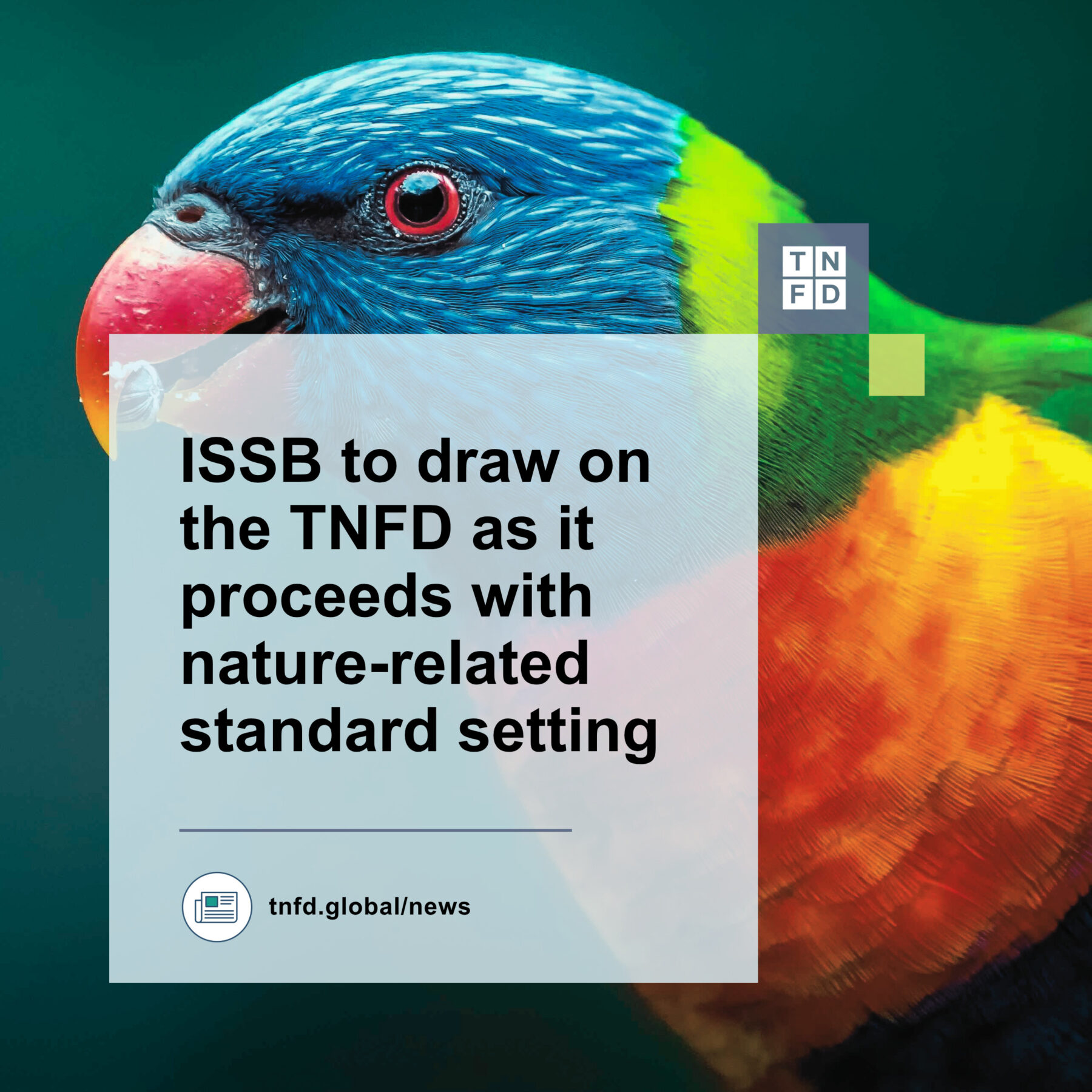 2025: The year in review – TNFD