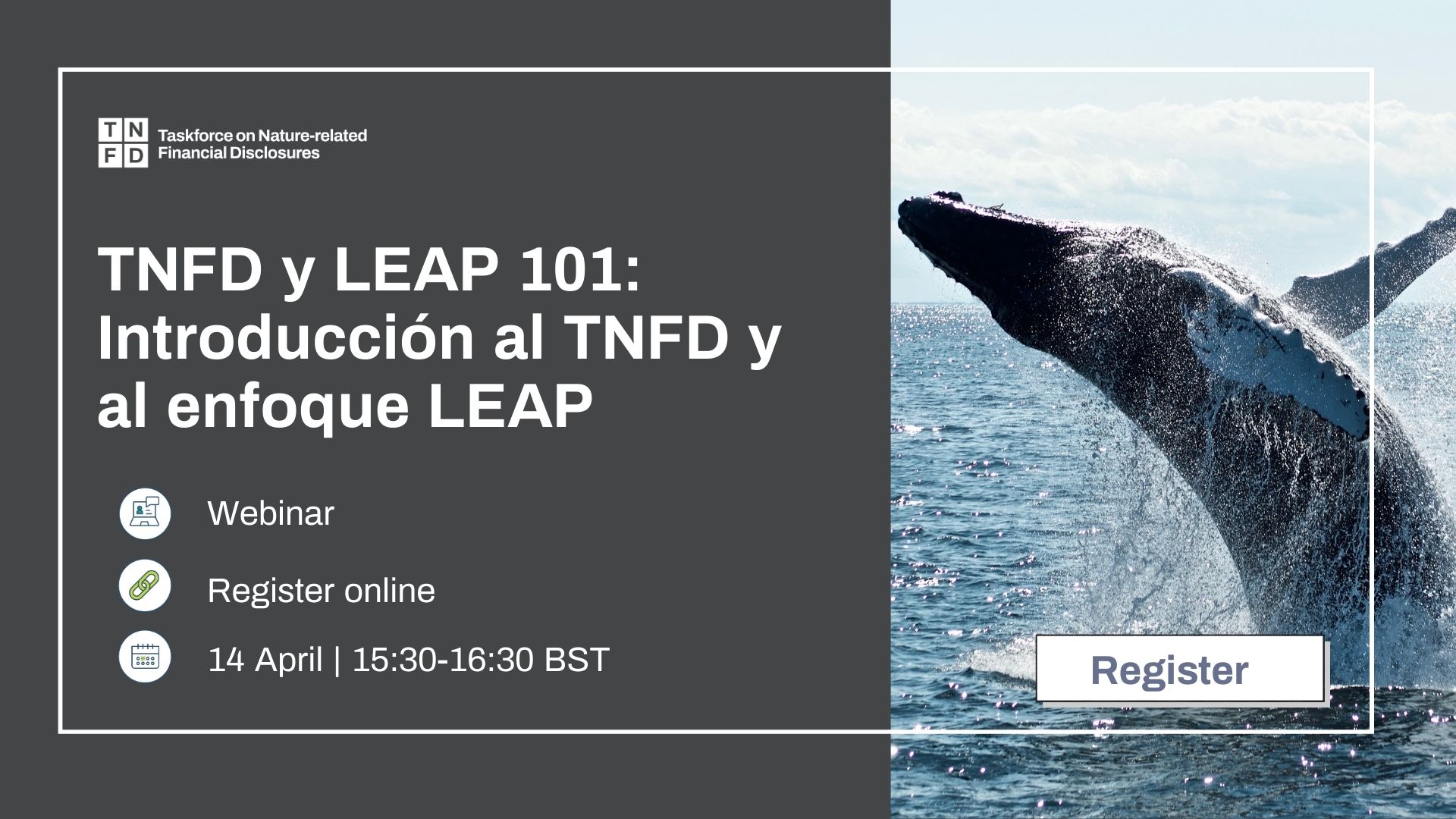 TNFD y LEAP 101: Introducción al TNFD y al enfoque LEAP – TNFD